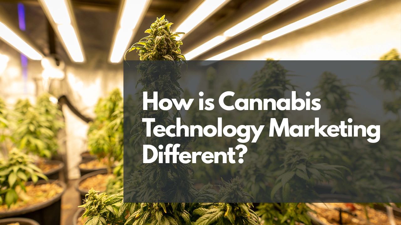 How is Cannabis Technology Marketing Different? - MKC Agency